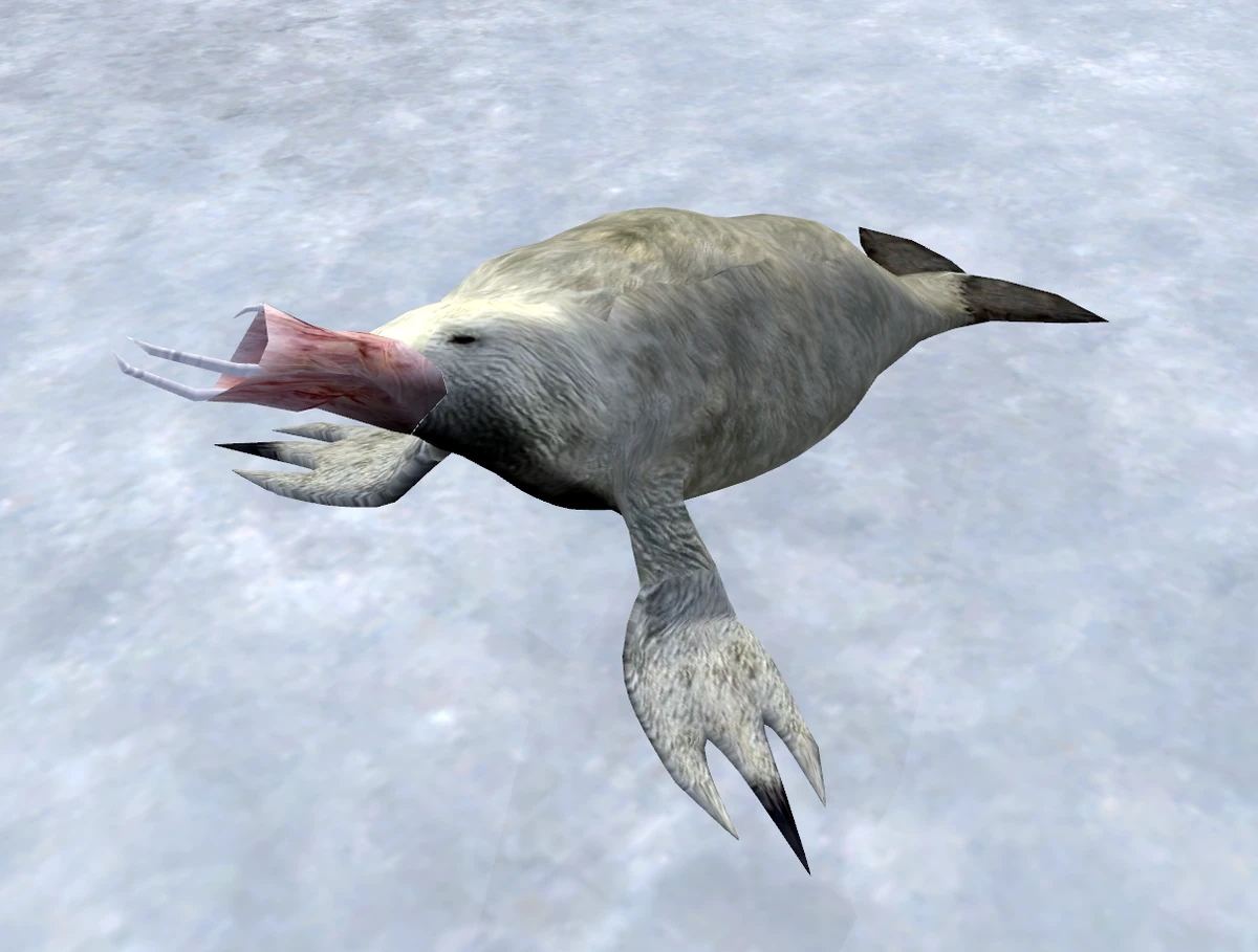 Horker (Bloodmoon) | Elder Scrolls Wiki | Fandom