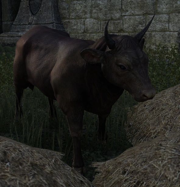 Ochse | Elder Scrolls Wiki | Fandom