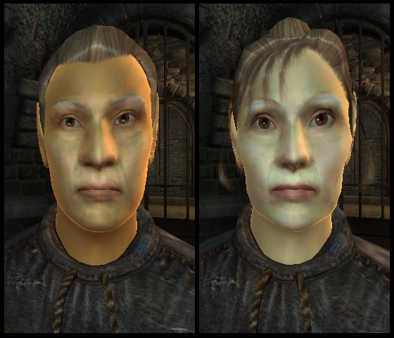Altmer Oblivion Elder Scrolls Wiki Fandom