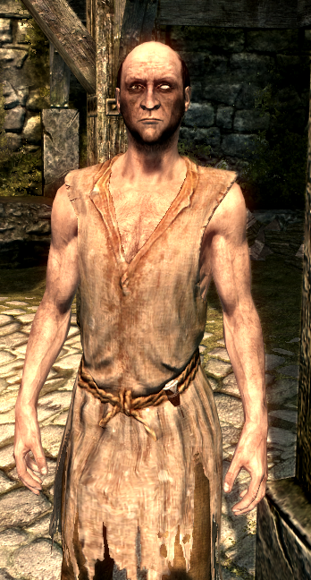 Noster Adler Auge Elder Scrolls Wiki Fandom