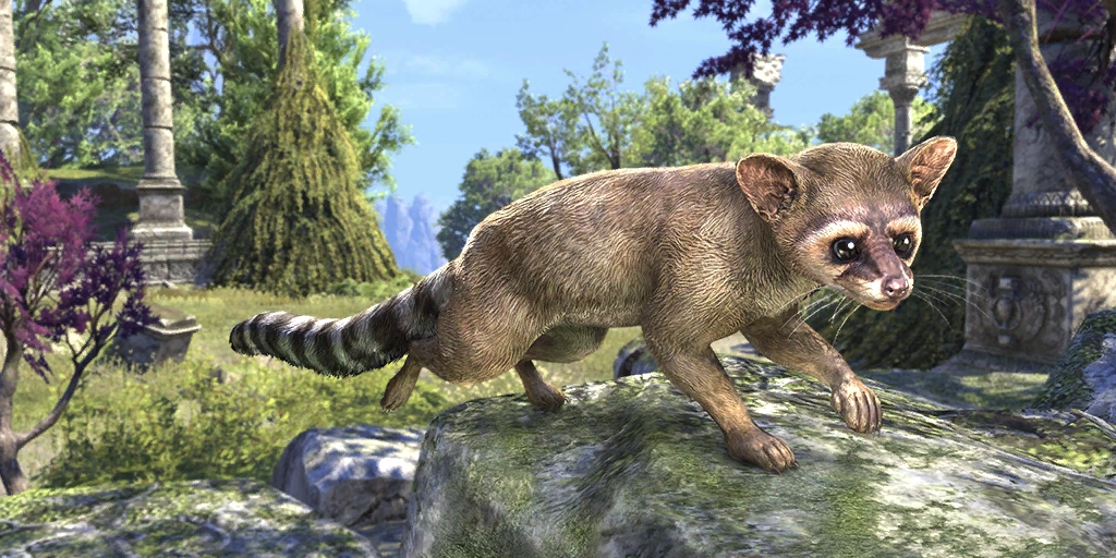 Alinor-Ringbeutler (Tier) | Elder Scrolls Wiki | Fandom