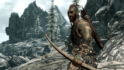 Bosmer (Skyrim) | Elder Scrolls Wiki | Fandom