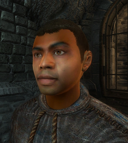Redguard (Oblivion) | Elder Scrolls Finland Wiki | Fandom