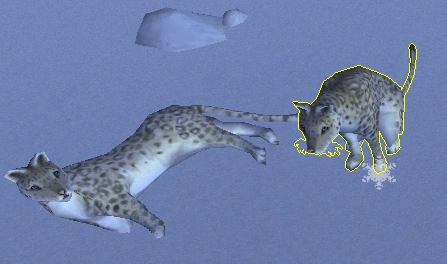 Snow Leopard | Eldevin Wiki | Fandom