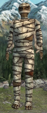 Mummy Costume Set | Eldevin Wiki | Fandom
