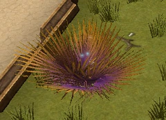 Roots of the Past | Eldevin Wiki | Fandom