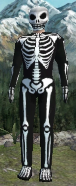 Skeleton Costume Set | Eldevin Wiki | Fandom