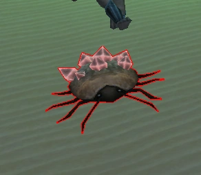 Grotto Beetle | Eldevin Wiki | Fandom