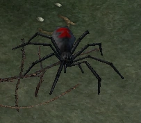 Black Widow Spider | Eldevin Wiki | Fandom