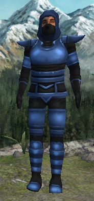 Void Stalker Tunics | Eldevin Wiki | Fandom