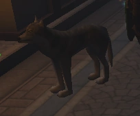 Grey Wolf (pet) | Eldevin Wiki | Fandom