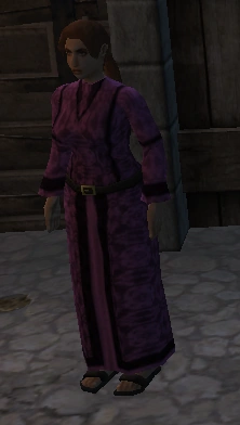 Snoring Explorer | Eldevin Wiki | Fandom