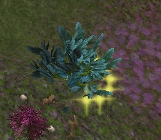 Balan Leaf | Eldevin Wiki | Fandom