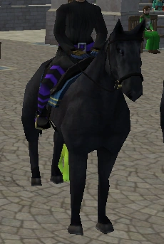 Black Horse | Eldevin Wiki | Fandom