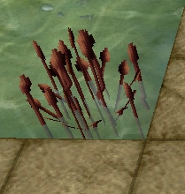 Roots of the Past | Eldevin Wiki | Fandom