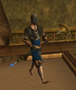 Sriosian Palace Warrior | Eldevin Wiki | Fandom