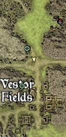 Vestor Fields | Eldevin Wiki | Fandom