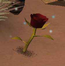 Desert Rose | Eldevin Wiki | Fandom