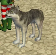 Pets | Eldevin Wiki | Fandom