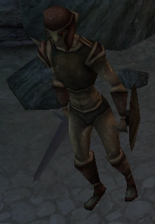 Undead Warrior | Eldevin Wiki | Fandom