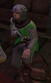 The Absent Warden | Eldevin Wiki | Fandom