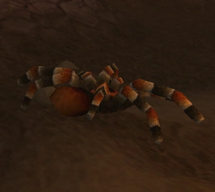 Cave Spider | Eldevin Wiki | Fandom
