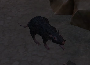 Vile Rat | Eldevin Wiki | Fandom
