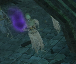 Crannoch Skeleton Mage | Eldevin Wiki | Fandom