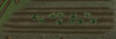 Farming | Eldevin Wiki | Fandom