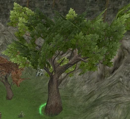 Oaken Log | Eldevin Wiki | Fandom