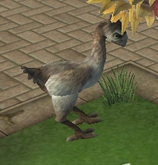 Tweety | Eldevin Wiki | Fandom