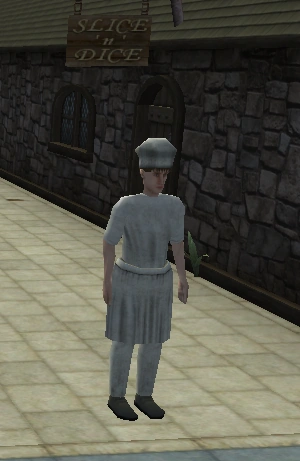 Chocolatier Ernie | Eldevin Wiki | Fandom