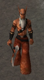 Ohdar Guard | Eldevin Wiki | Fandom