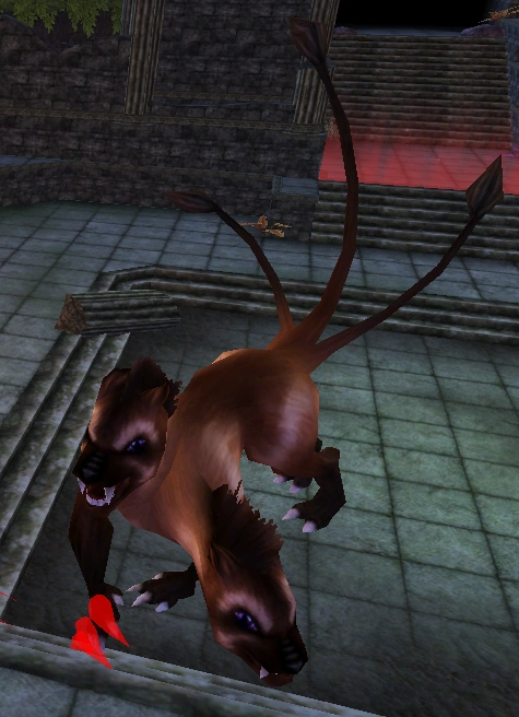 Duoberus | Eldevin Wiki | Fandom