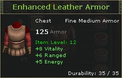 Enhanced Leather Armor | Eldevin Wiki | Fandom