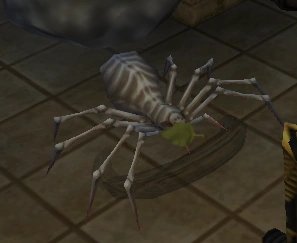 Spinerette Dispatch | Eldevin Wiki | Fandom