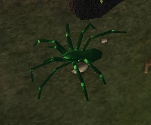 Lumen Spider | Eldevin Wiki | Fandom