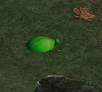 Green Beetle | Eldevin Wiki | Fandom