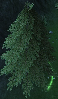 Pynwood Tree | Eldevin Wiki | Fandom