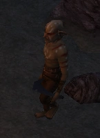 Bonemaw Warrior | Eldevin Wiki | Fandom