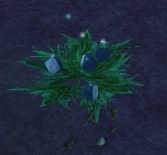 Void Chestnut | Eldevin Wiki | Fandom