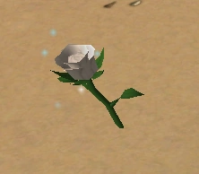 Blossom In The Night | Eldevin Wiki | Fandom