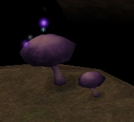 Widow Cap Mushroom | Eldevin Wiki | Fandom