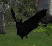 Pets | Eldevin Wiki | Fandom