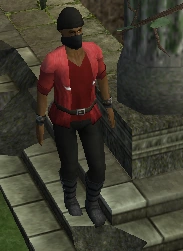 Crimson Pillager | Eldevin Wiki | Fandom