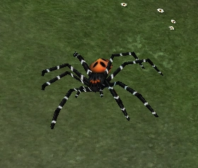 Web Spider | Eldevin Wiki | Fandom