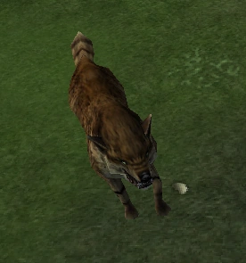 Eastern Wolf | Eldevin Wiki | Fandom