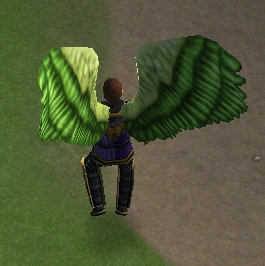 Emerald Wings | Eldevin Wiki | Fandom