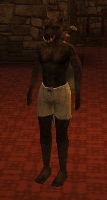 Werewolf Potion | Eldevin Wiki | Fandom