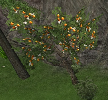 Orange | Eldevin Wiki | Fandom